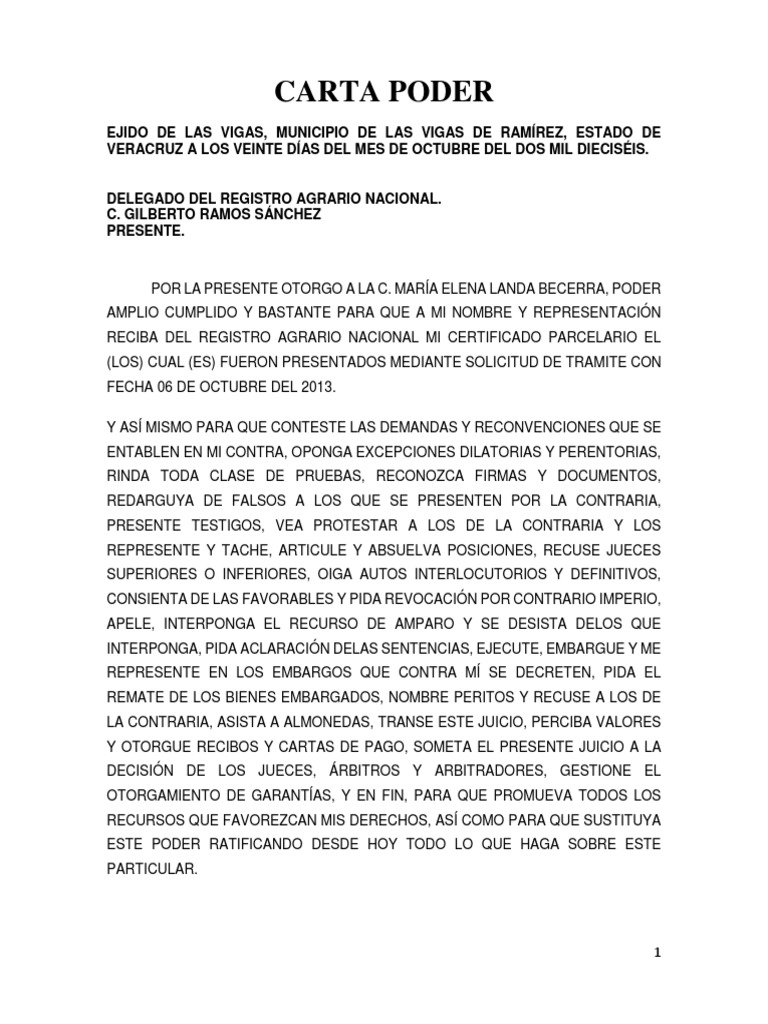 Carta Poder Machote | Descargar gratis PDF | Gobierno | Justicia