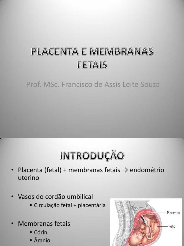 Estrutura, função e desenvolvimento da placenta e das membranas fetais ...