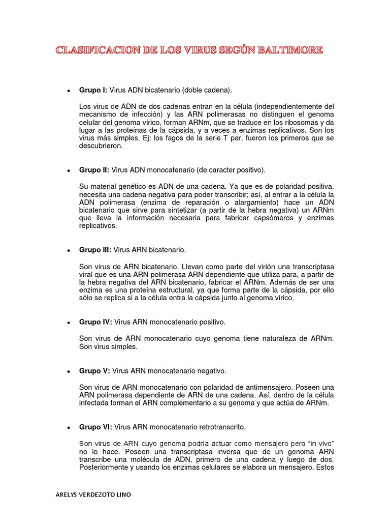 Clasificacion de Los Virus Según Baltimore | PDF | Virus | Rna