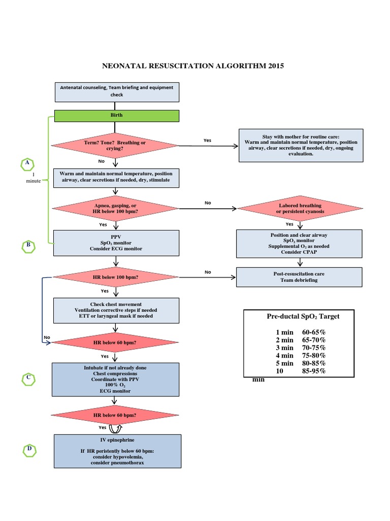 Neonatal Resuscitation Algorithm 2015: 1 Minute | PDF | Cardiopulmonary ...