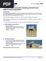 Vestibular Rehabilitation: Gaze Stabilization VOR x2 | PDF