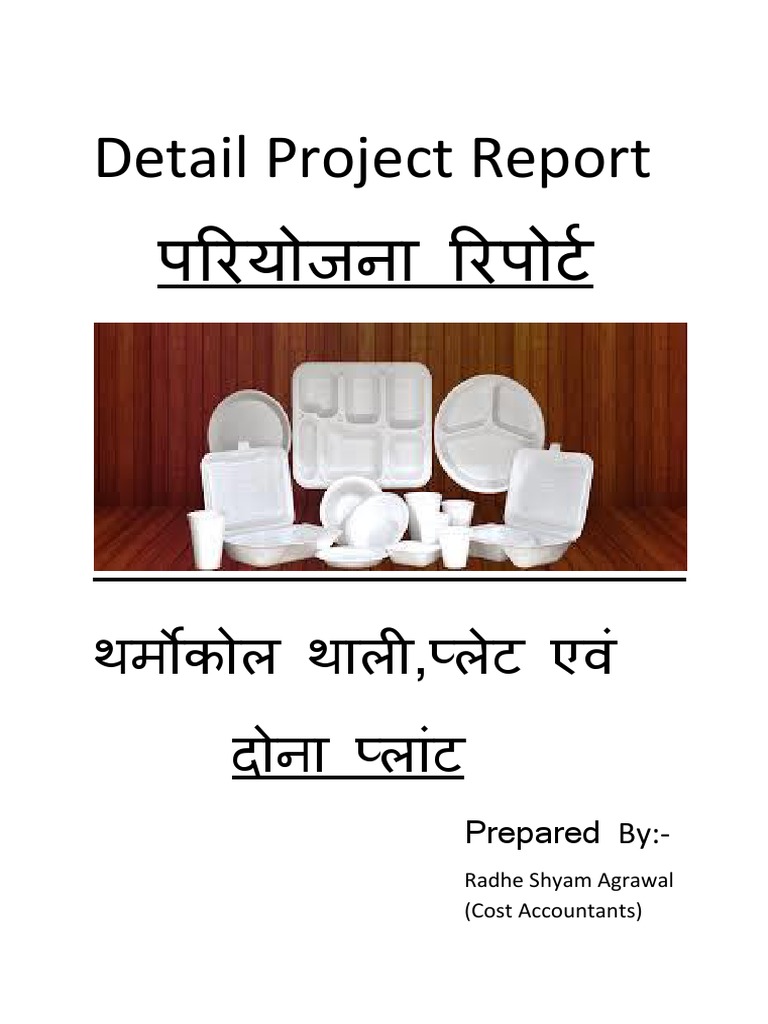 PMEGP Project Report | PDF