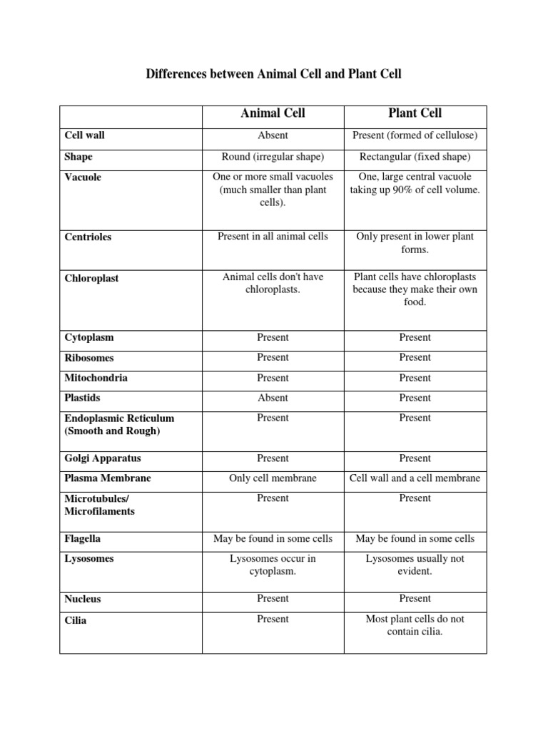 Differences Between Animal Cell and Plant Cell: Cell Wall Shape Vacuole ...