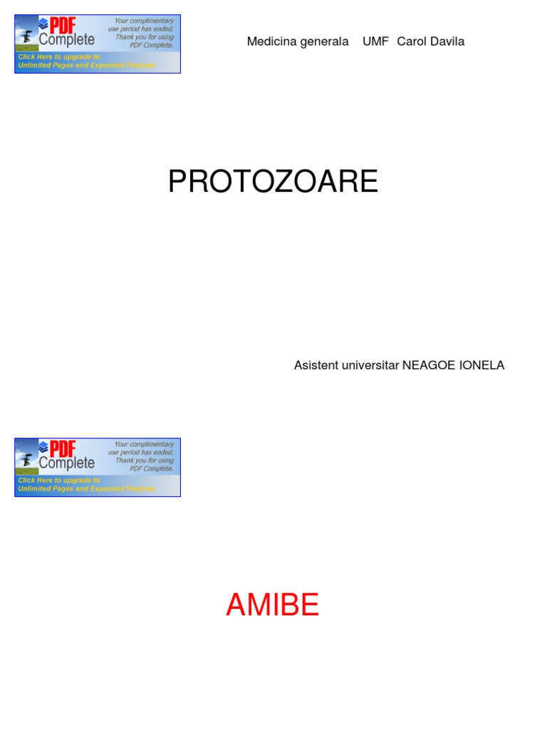 PROTOZOARE - Handout 3 PDF | PDF