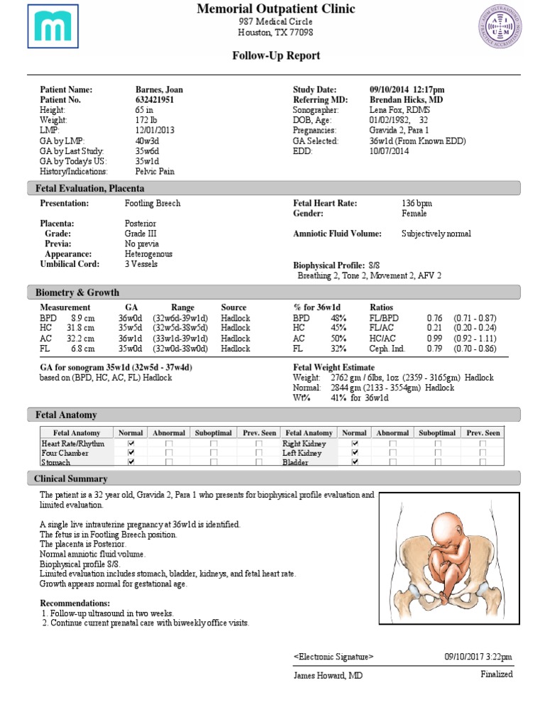 OB Sample Reportsfdfads | PDF | Fetus | Vertebral Column