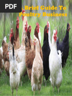 The Boschveld Chicken | PDF | Chicken | Poultry Farming