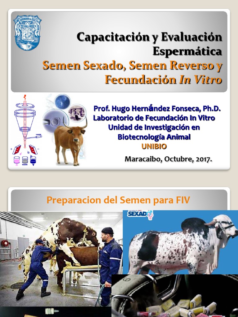 Capacitacion Y Evaluacion Espermatica Semen Sexado Semen Reverso Y
