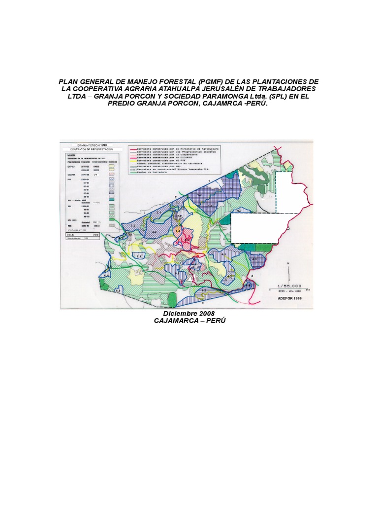 Plan General de Manejo Forestal | PDF | Gestión de bosques | Manejo de ...