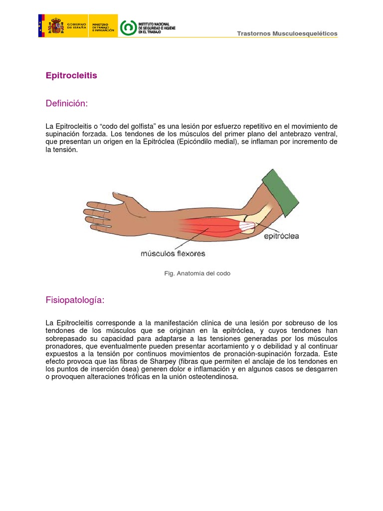 Epitrocleitis | PDF | Codo | Sistema musculoesquelético
