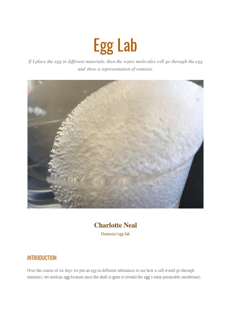 Egg Lab: Charlotte Neal | PDF | Osmosis | Physical Sciences