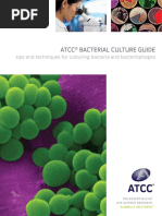 Package Insert - API 50 CHL Medium | PDF | Infection | Microbiology