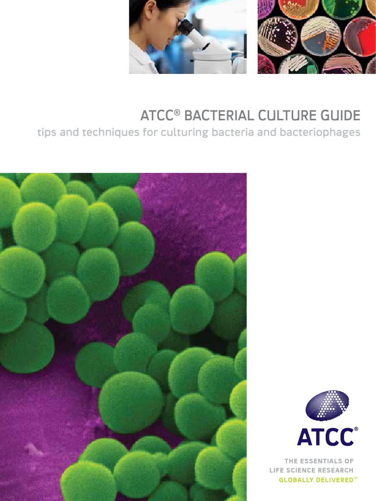 ATCC - Bacterial - Culture - Guide Cepas ATCC PDF | PDF | Growth Medium | Spectrophotometry