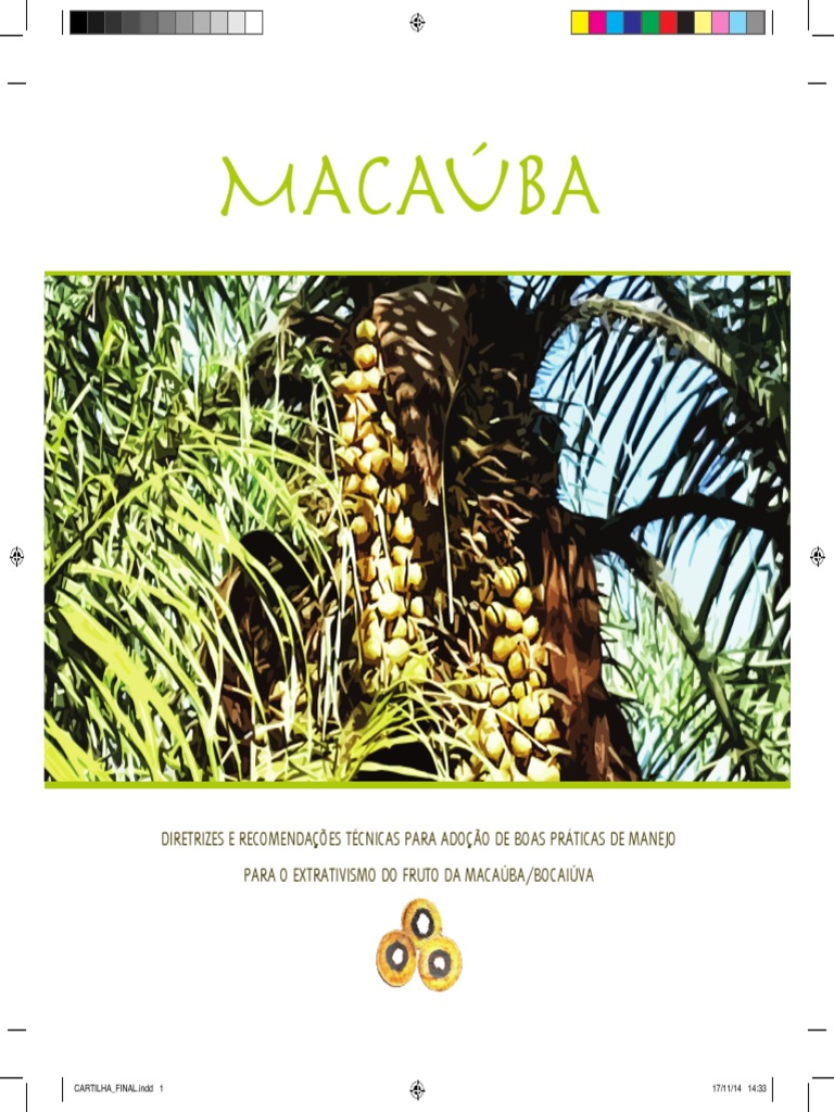 MDA - Macauba Diretrizes e Recomendacoes | PDF | Brasil | Arecaceae