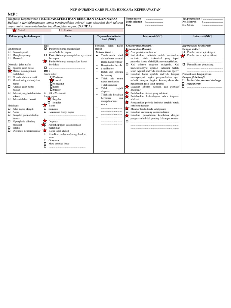 Format NCP Nanda, Nic, Noc | PDF
