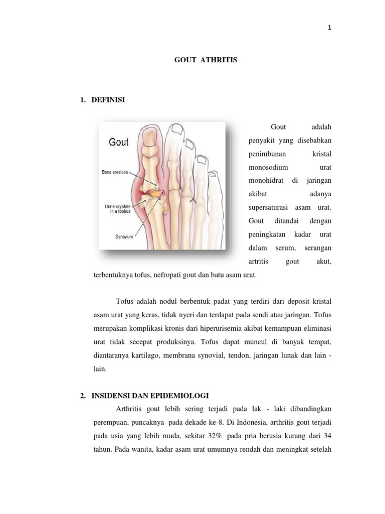 Gout Athritis | PDF