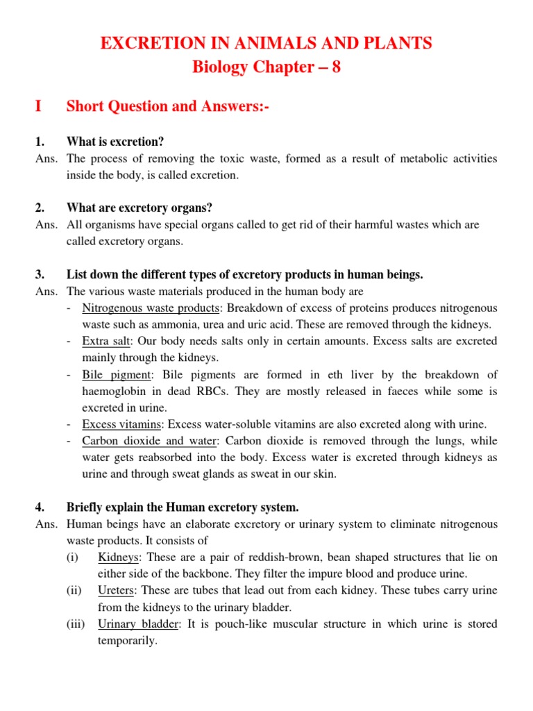 Excretion in Animals and Plants Explained | PDF | Urinary System | Kidney