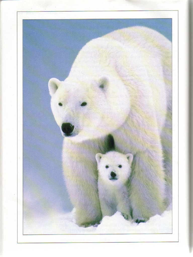 Savitch, Walter - Java. An Introduction To Computer Science and ...