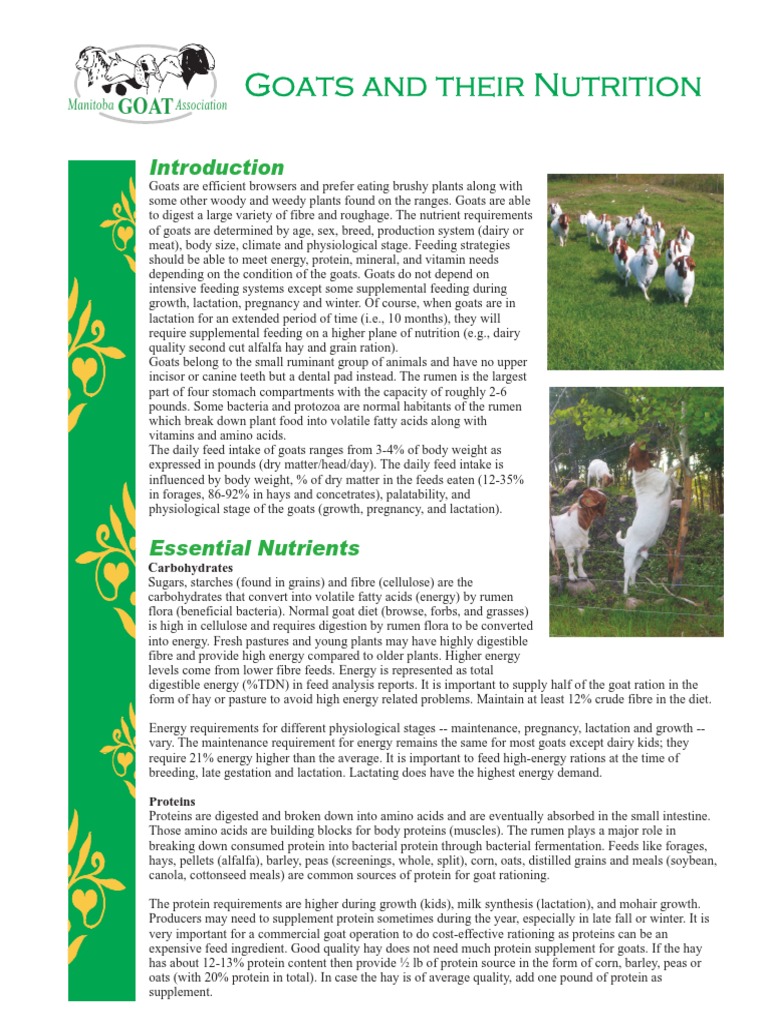 Goats and Their Nutrition PDF | PDF | Goat | Dietary Fiber