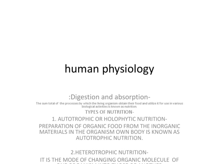 Human Physiology | PDF