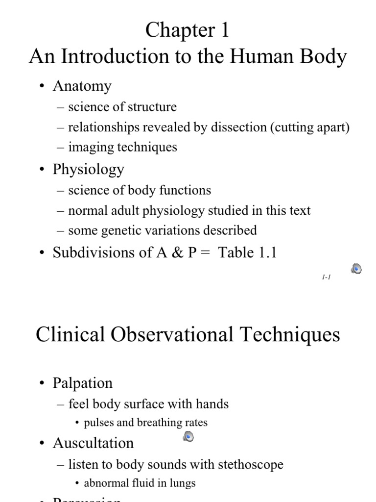 An Introduction To The Human Body: Anatomy | PDF | Anatomical Terms Of ...