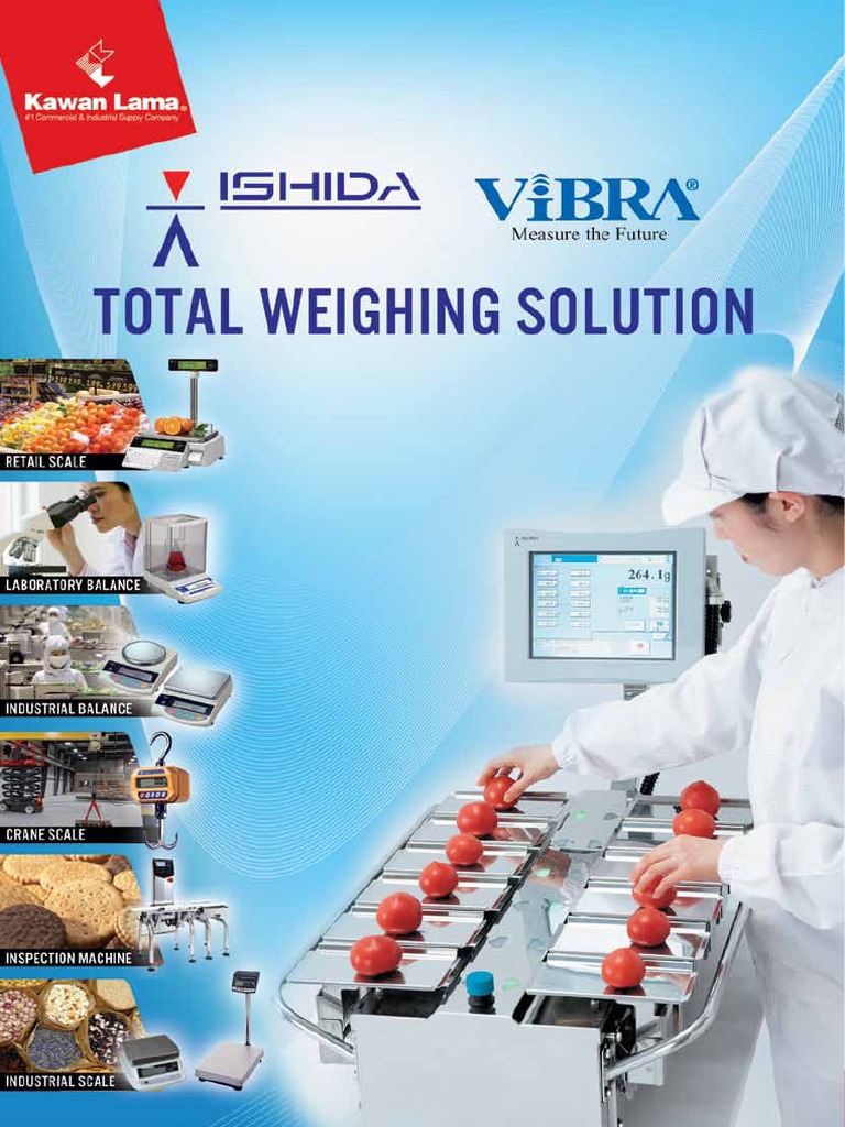 B Ishida | PDF | Weight | Inventory