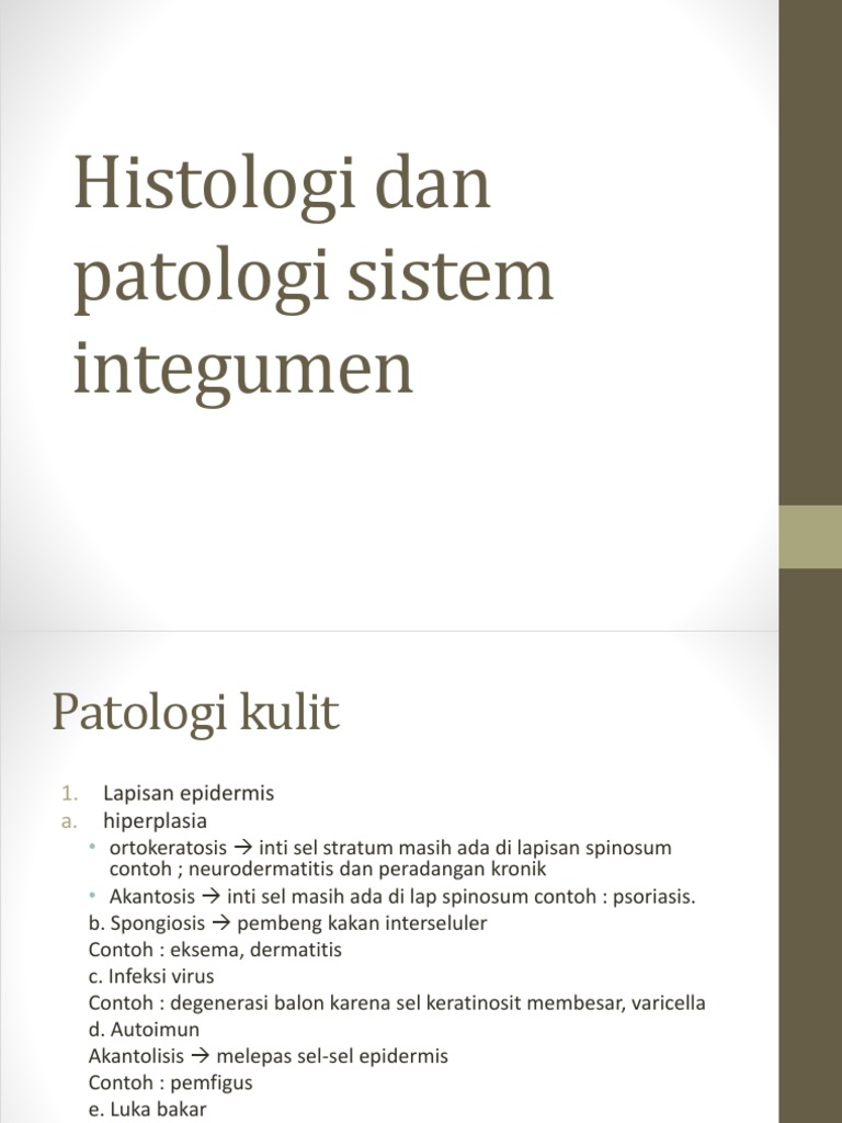 K.2 Histologi Dan Patologi Sistem Integumen | PDF