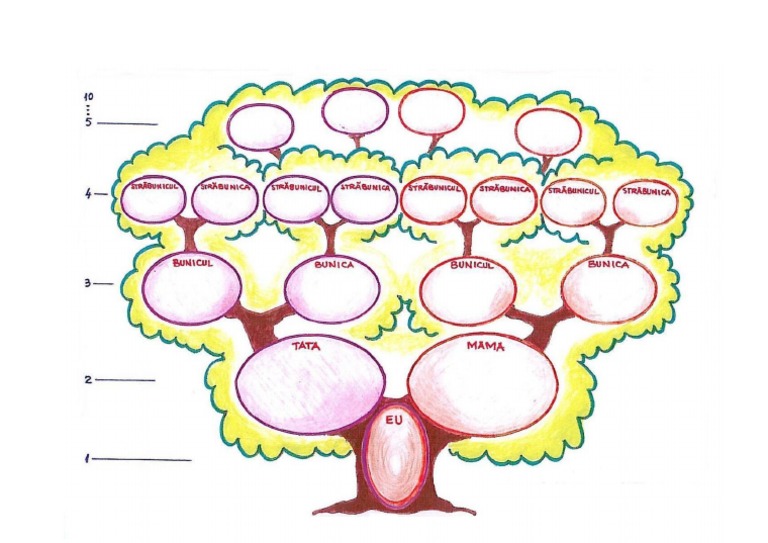Arbore Genealogic