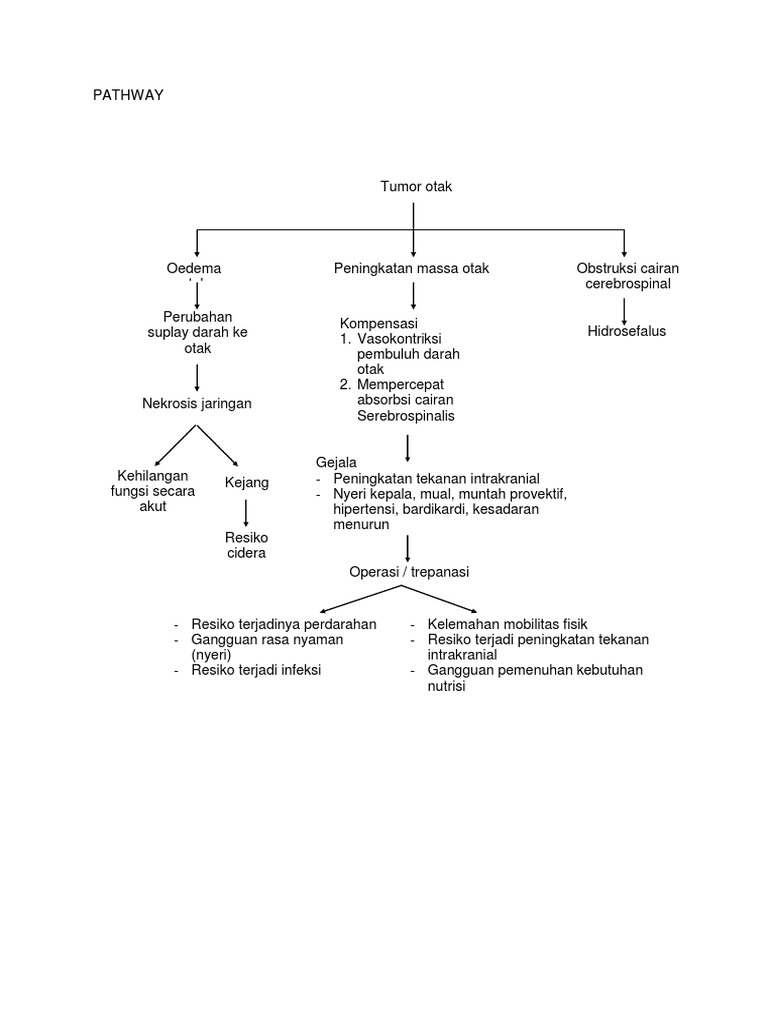 Pathway Pdf