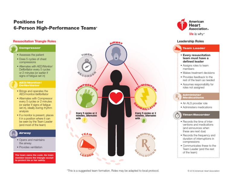 Team Diagram Positions For 6-Person High-Performance Teams | PDF ...
