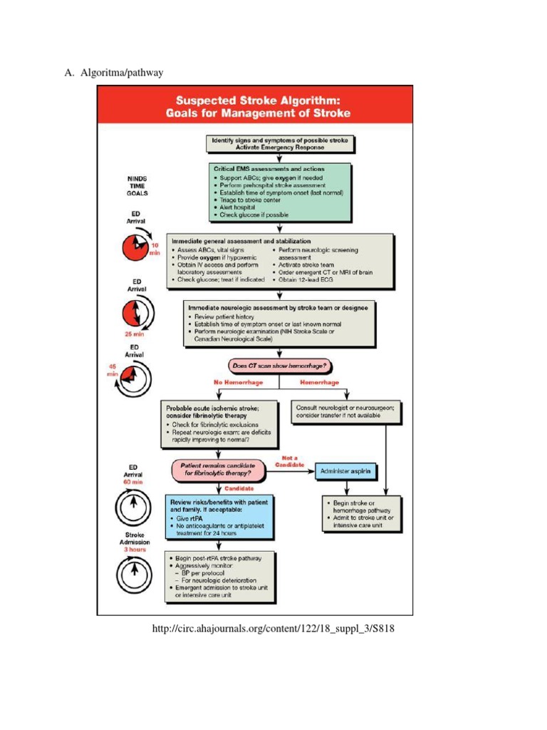 Stroke Algorithm Overview | PDF