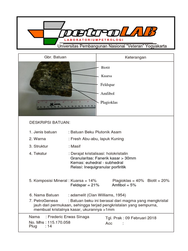 Lembar Deskrip Petro Minggu Ke 2 2 | PDF