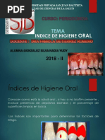 Indice Gingival Ig | PDF | Odontología | Medicina