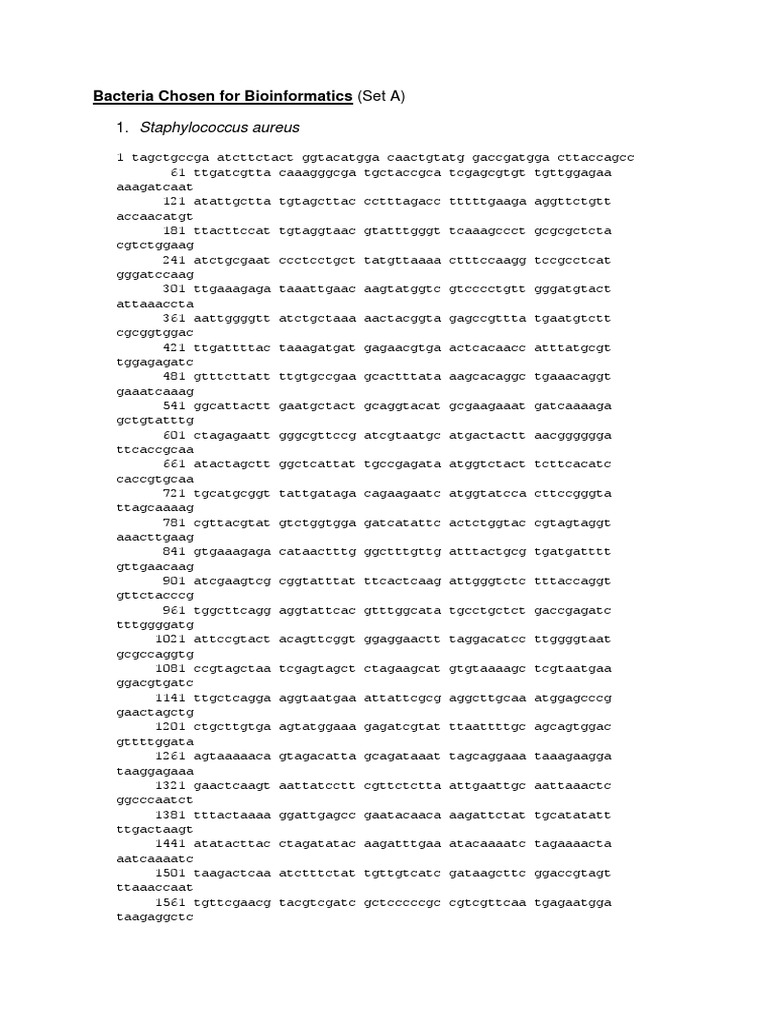 Bacteria Chosen For Bioinformatics | PDF | Staphylococcus | Immunology