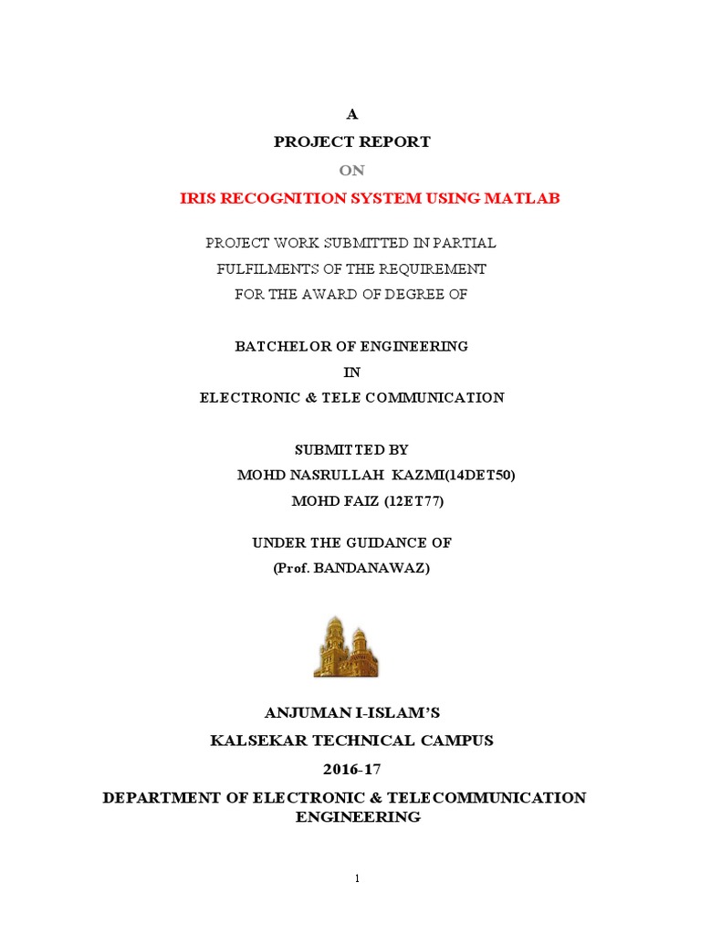 Iris Recognition System Using Matlab: A Project Report | PDF | Biometrics | Authentication