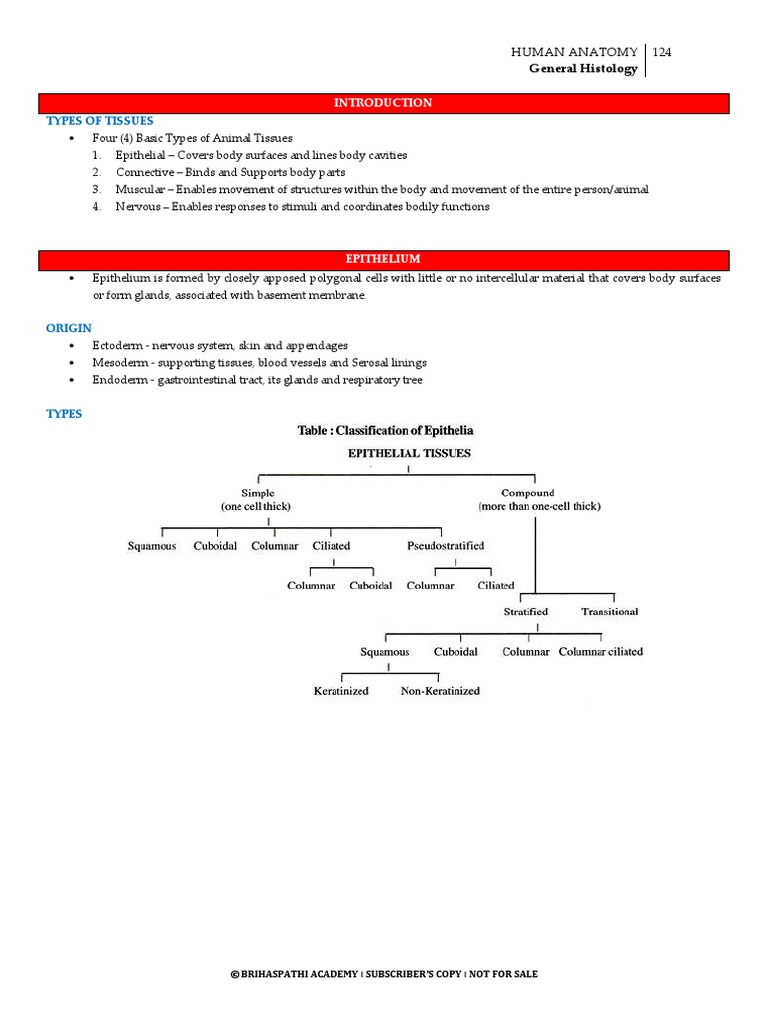 General Histology Final | PDF | Epithelium | Bone