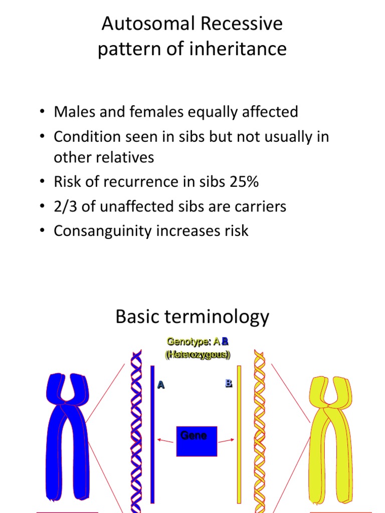 Autosomal Recessive Pattern of Inheritance | PDF | Dominance (Genetics ...