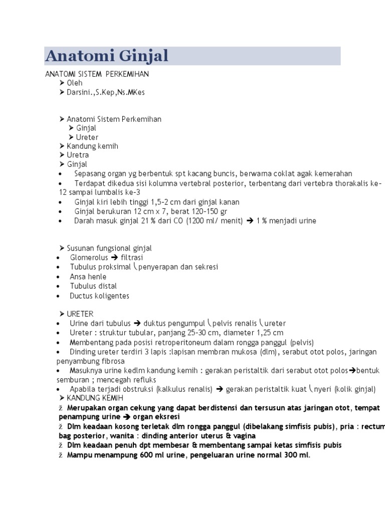 Anatomi Ginjal | PDF | Sains & Matematika