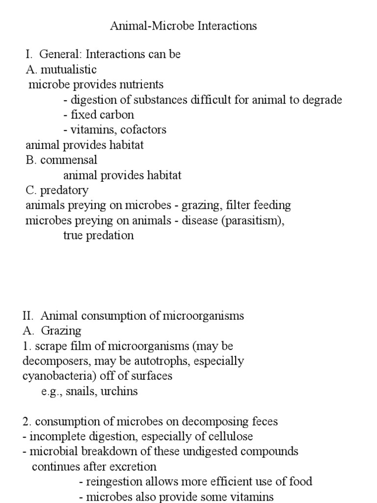 Animal-Microbe Interactions Overview | PDF | Ruminant | Fungus
