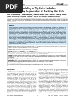 45 Minute Vinyasa Flow V1 Pdf