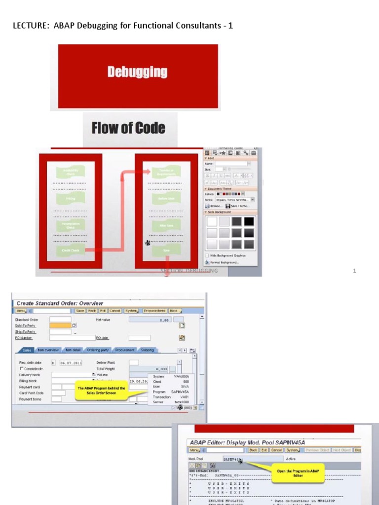 LECTURE: ABAP Debugging For Functional Consultants - 1 | PDF