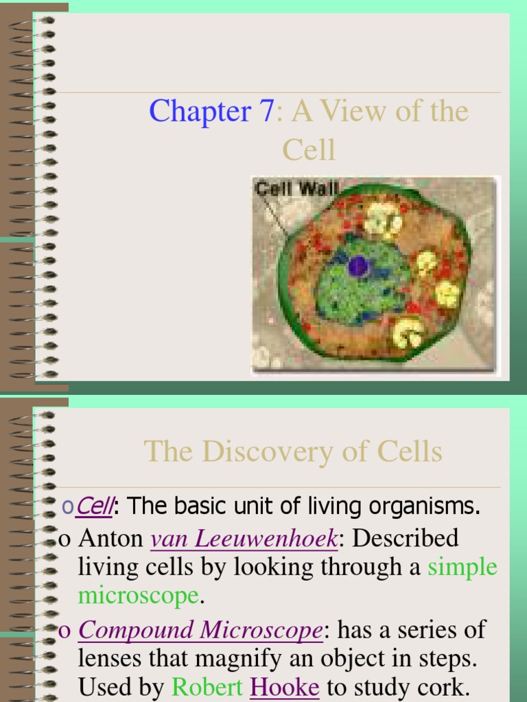 Combined Powerpoints On Cells 2017 | PDF | Osmosis | Cell Membrane