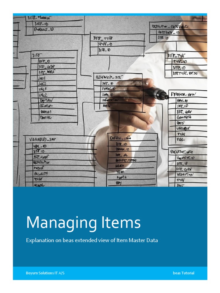 Item Master Data Tutorial | PDF | Business Process | Inventory