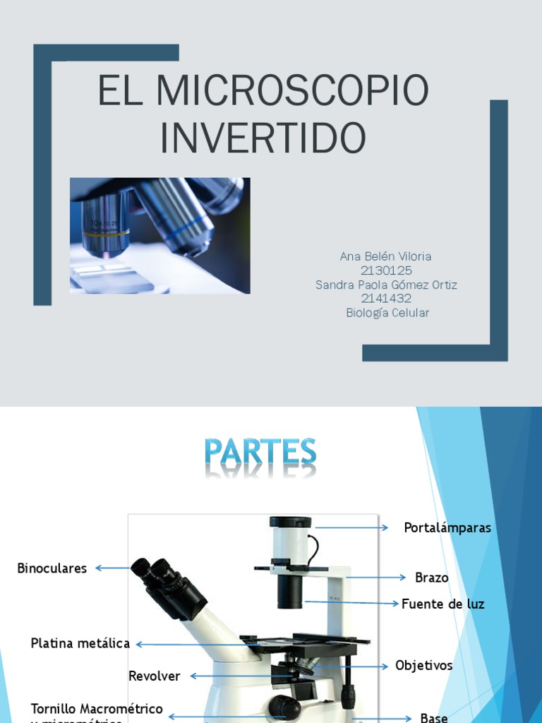 El Microscopio Invertido | PDF