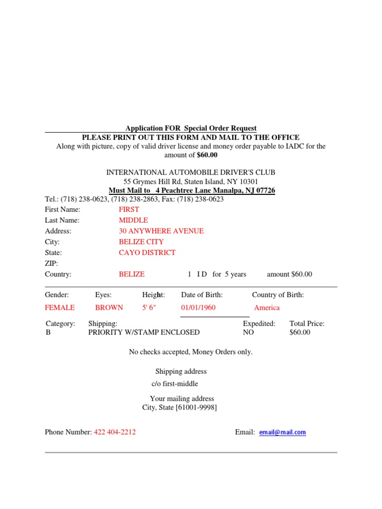 International Driving Permit Application | PDF