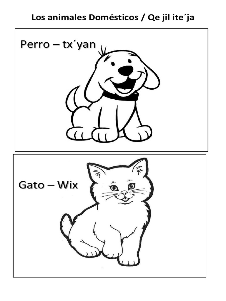 Los Animales Domésticos en Mam | Animales y humanos | Animales domesticados
