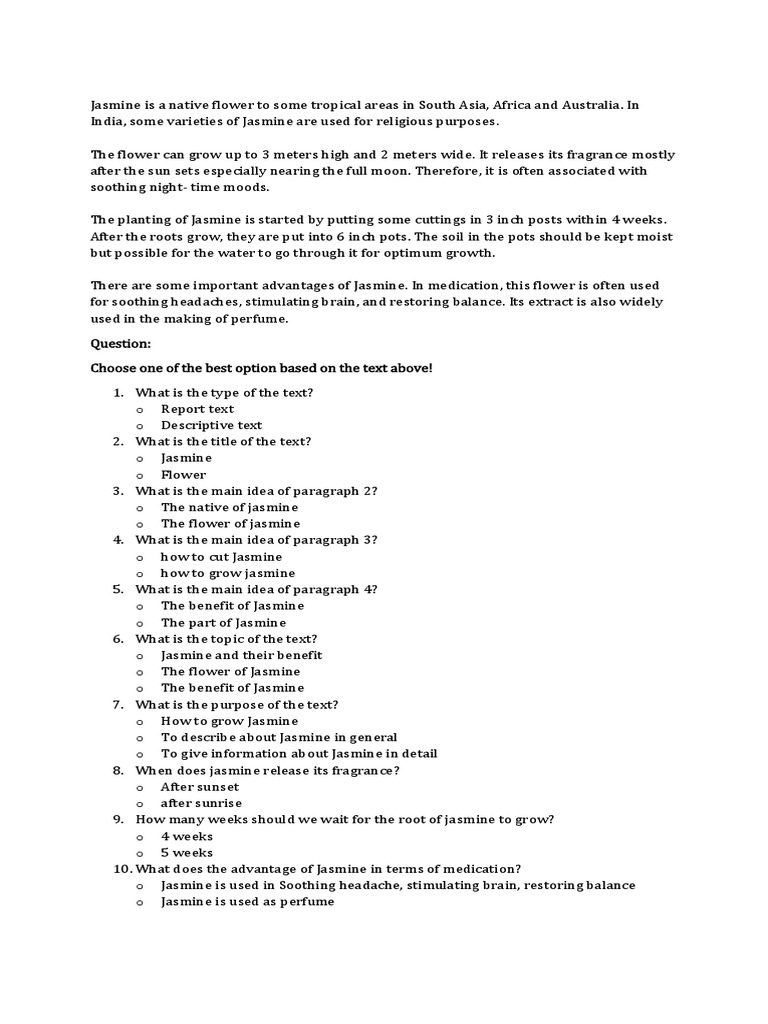Jasmine Report | PDF