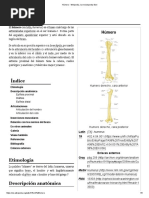 Surco Intertubercular del Húmero | PDF | Articulaciones | Anatomía humana