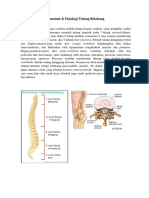 Anatomi Dan Fisiologi Vertebrae Cervical | PDF