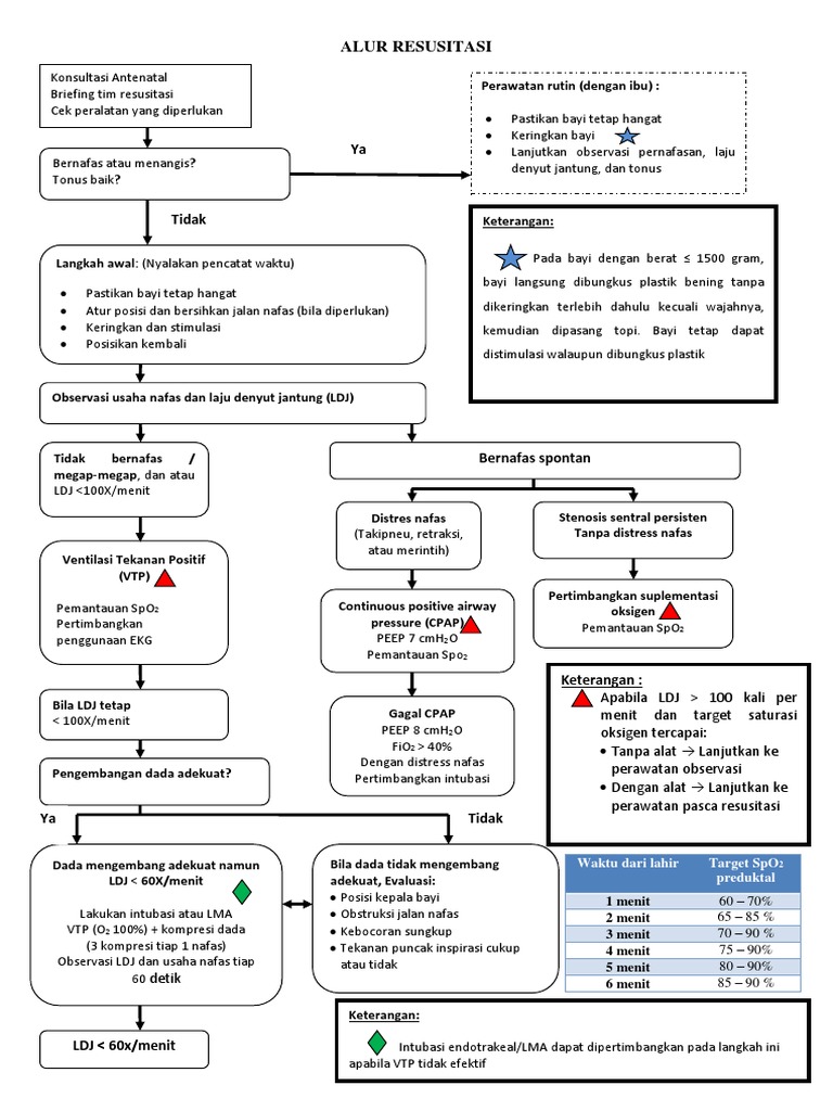 Alur Resusitasi Anak | PDF