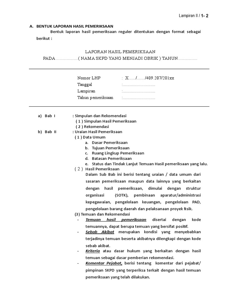 Contoh Format Laporan Hasil Pemeriksaan | PDF | Bisnis | Komputer